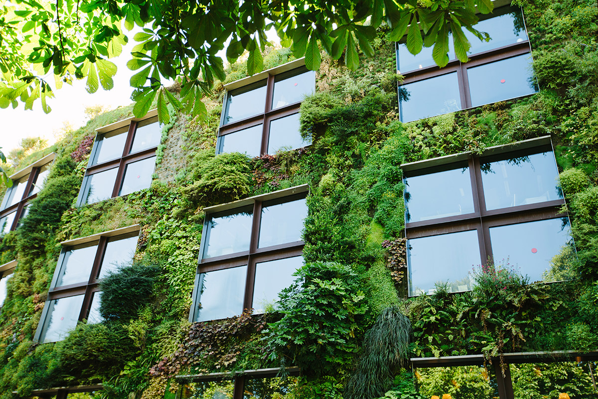 Green architecture for climate-friendly cities - raintime